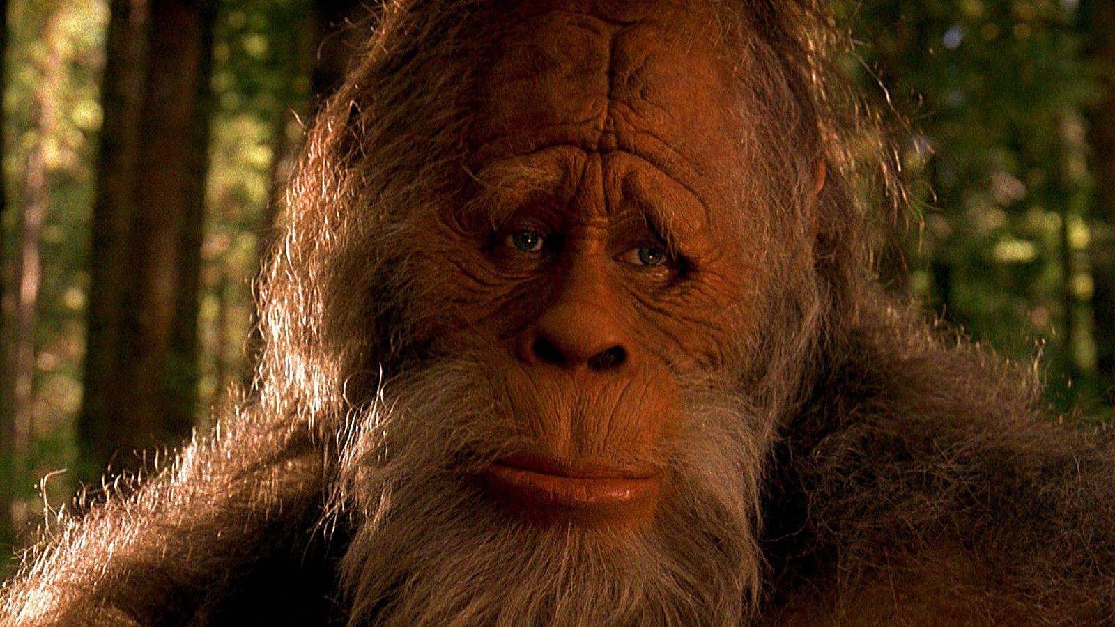 Следы на снегу Охота на снеговика!