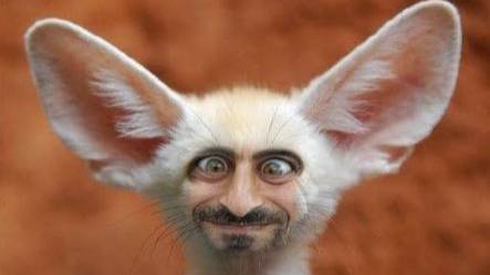 Самое смешное из Тик-Тока #4.....#лучшие видео#видео#видео бесплатно