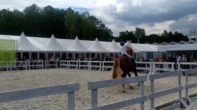 Литовский тяжеловоз