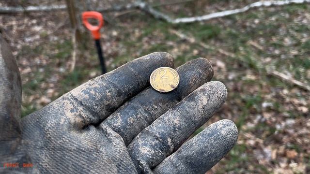 Даже серебро попадается в этом лесу
