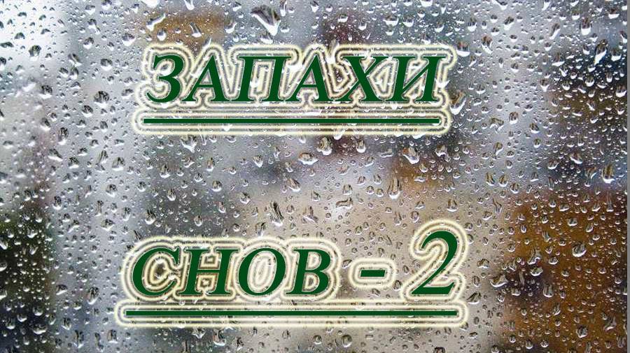 Запахи снов,2