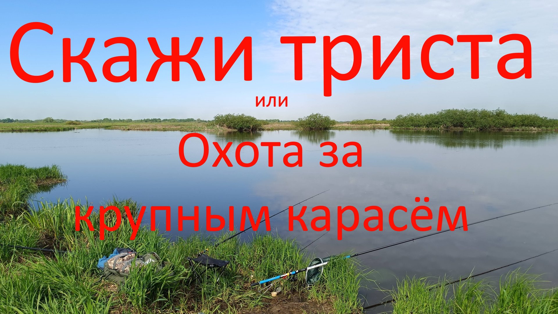 Скажи Триста или Охота за крупным карасём. Виноградово. Озеро Побежное. 21.05.2024.