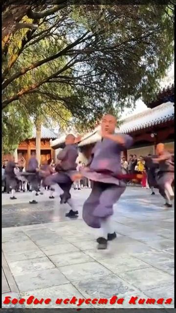 Шаолиньское кунг-фу теперь известно во всем мире...