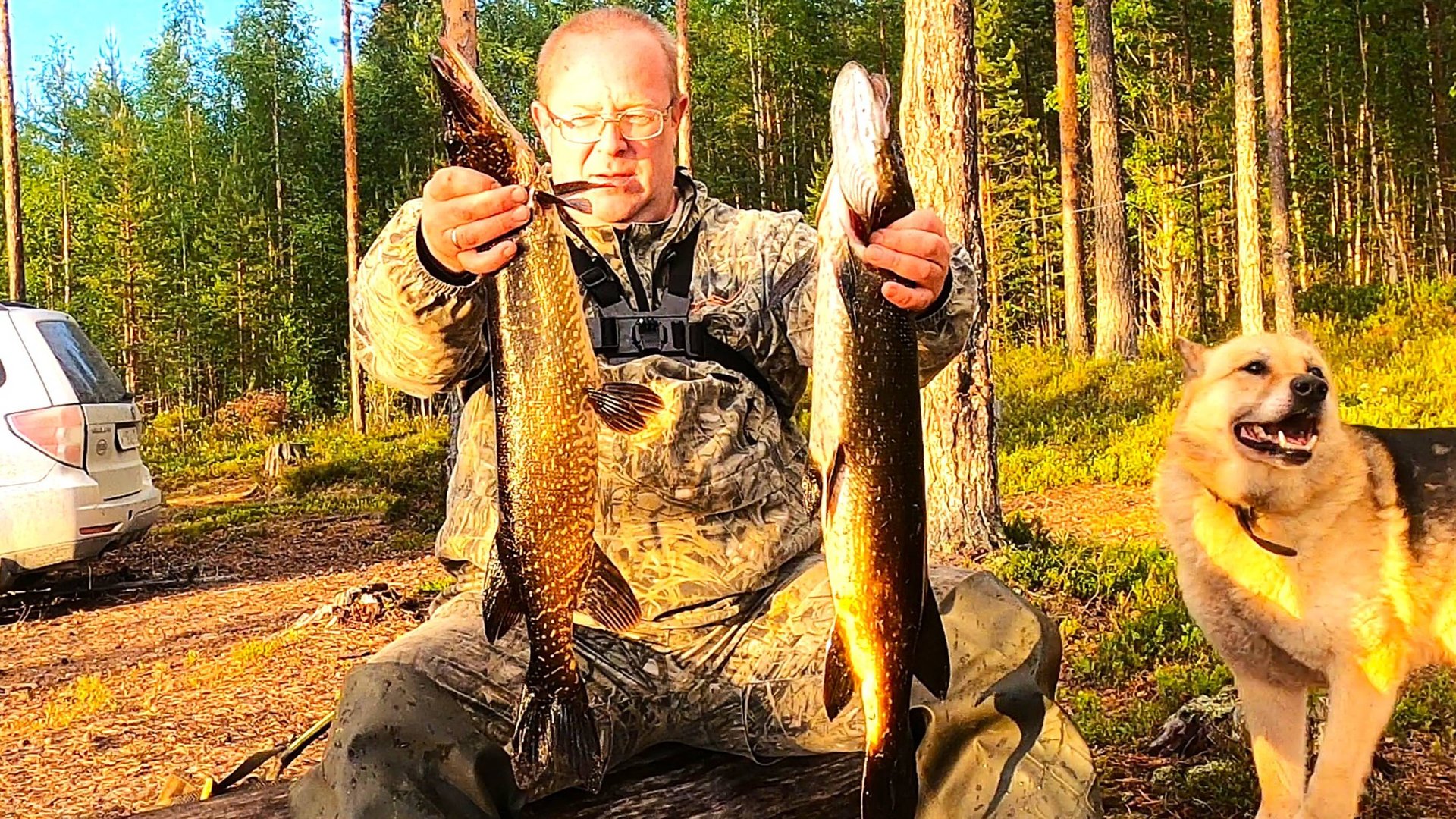 Рыбалка в Карелии. Хотел половить плотву, но щуки окружили, сломали спиннинг, чуть не порвали снасти