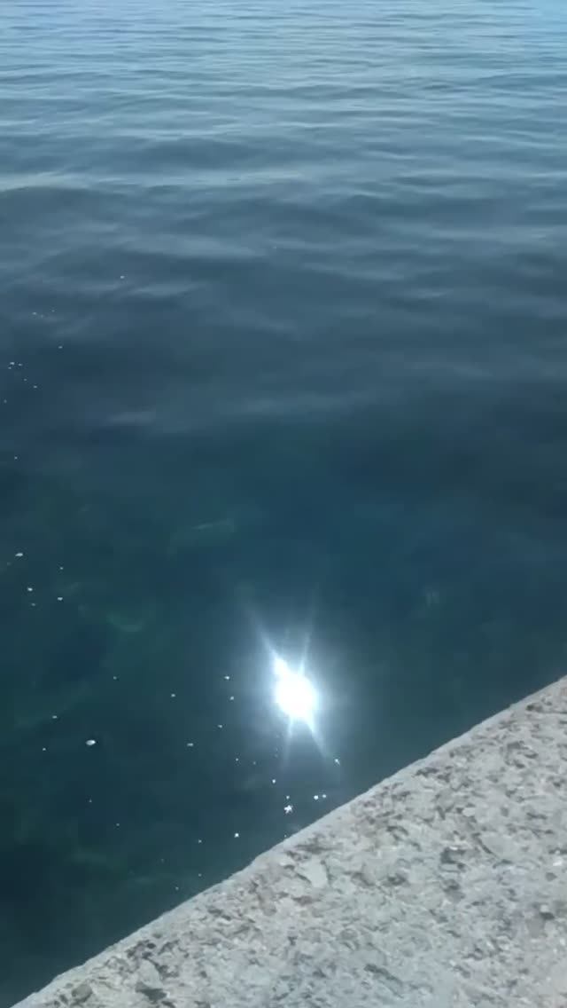 Ласковое Море