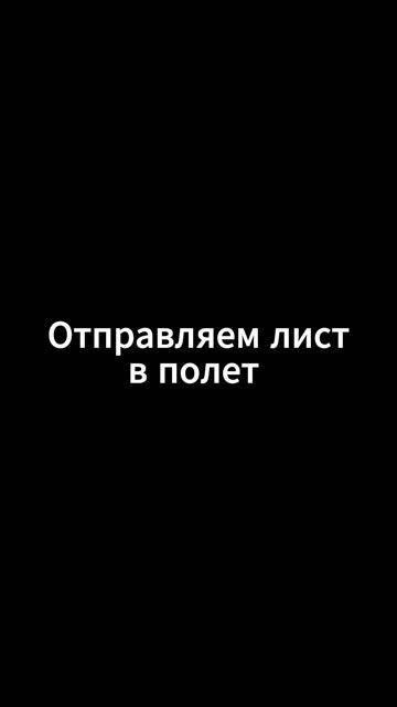 Погрузка — дело тонкое.