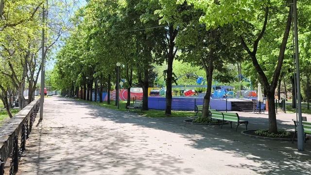 2025.04.29. Природа и Город. Весна, конец апреля в Краснодаре. Деревья, растения, цветы, кусты