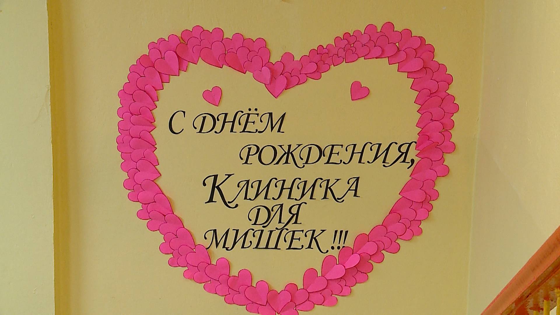 (Рыбинск-40) ДЕНЬ РОЖДЕНИЯ КЛИНИКИ ДЛЯ МИШЕК