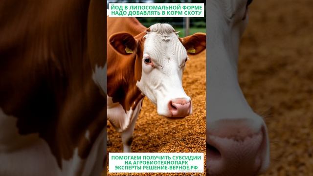 Пути восполнения йододефицита - ученые микробиологи. Чем занимаются агробиотенопарки