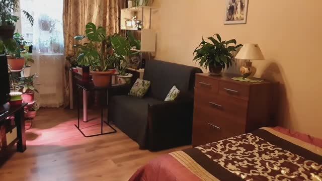 Моя келья, ее обустройство и мой пушистый друг