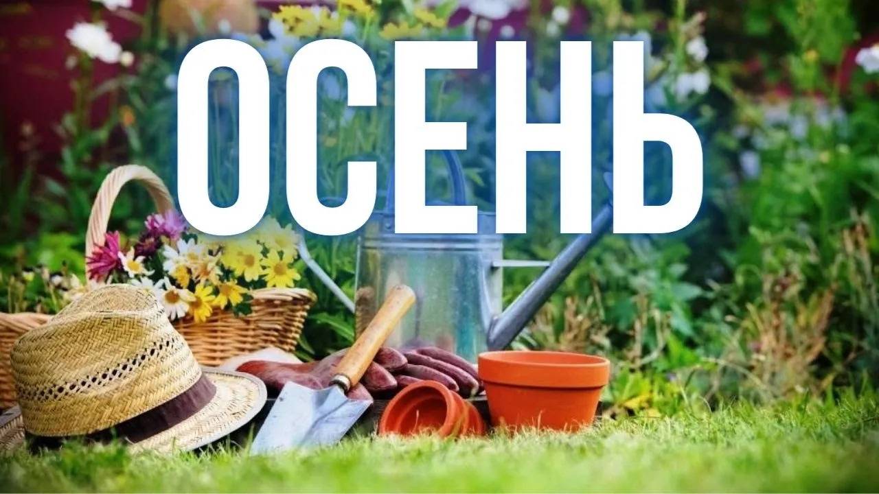 Осенью прощаться с огородом? Конечно же, нет!