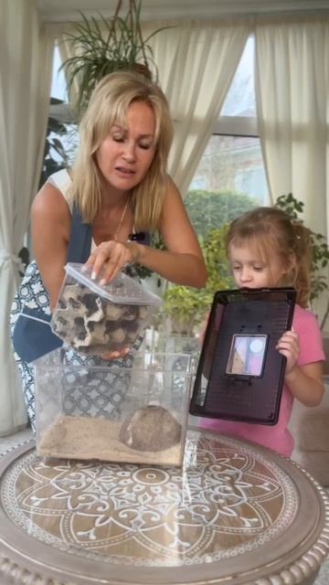 Кто-нибудь еще хочет завести агаму?