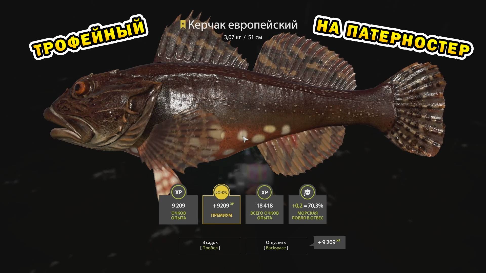 РР4 | Норвежское море | Трофейный керчак на патерностер