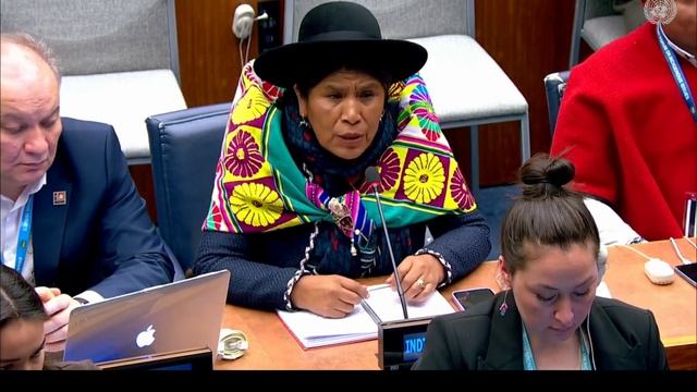 Торибия Леро, Коренной депутат Многонационального государства Боливия. Нет доступа к медицине