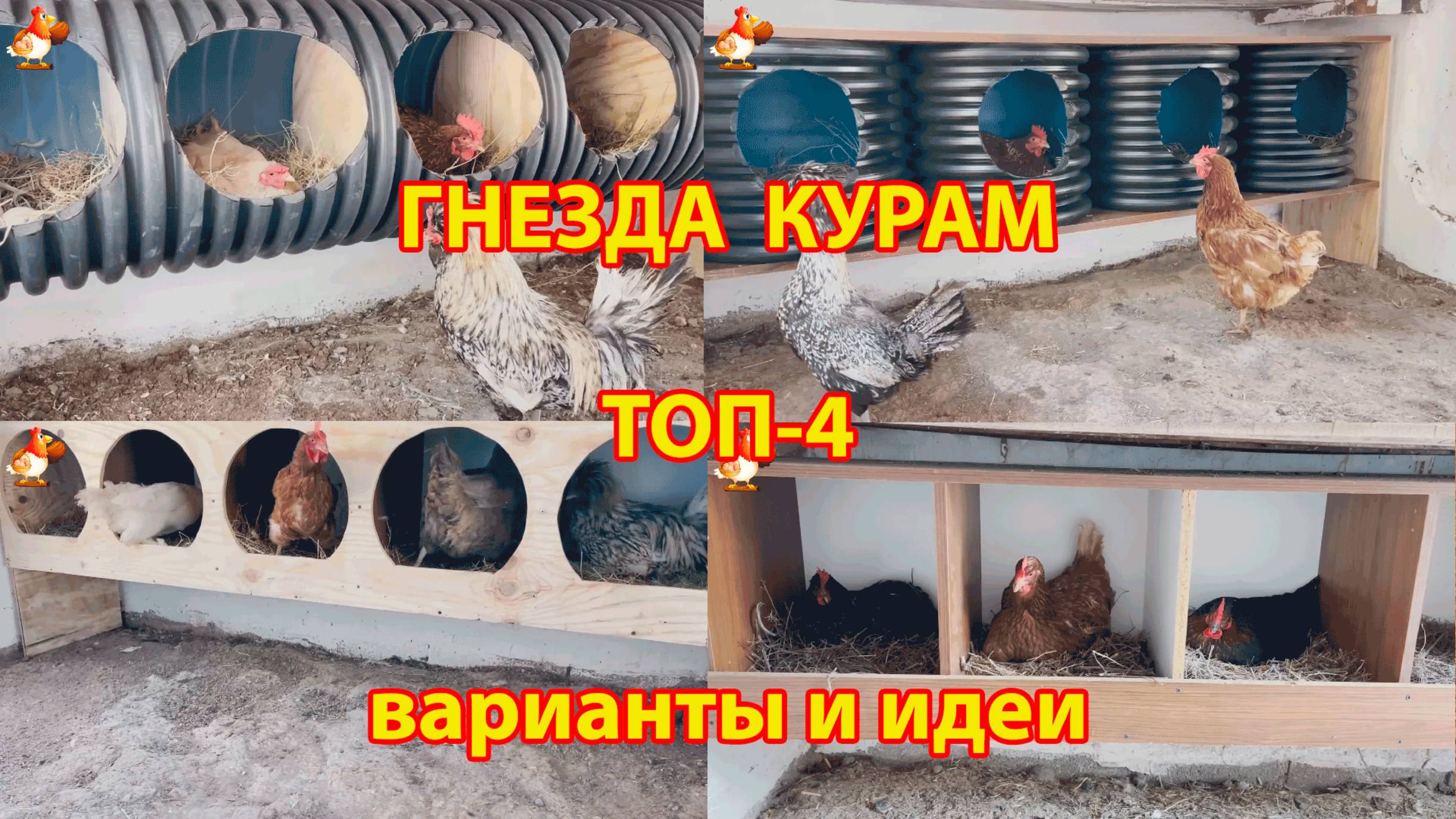 Гнезда для кур ТОП-4 варианта из труб и досок понравились несушкам ❣️🤗😂