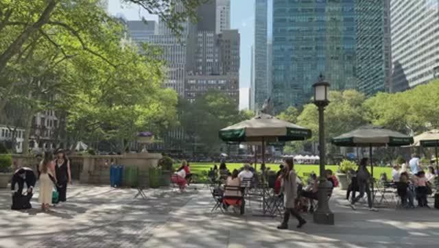 НЬЮ-ЙОРК ЦЕНТР ВЕСНА НА МАНХЭТТЕНЕ БРАЙАН -ПАРК, 5-АЯ АВЕНЮ В ЦВЕТУ