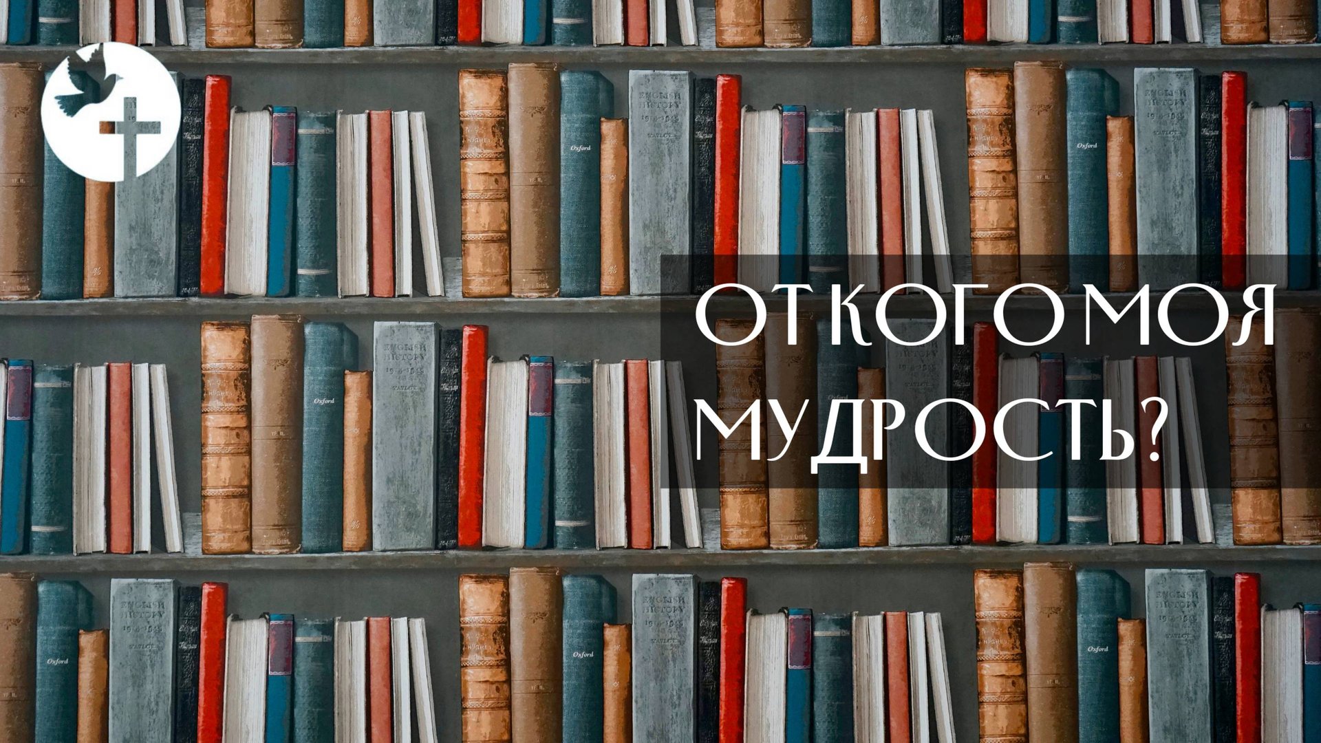 ОТ КОГО МОЯ МУДРОСТЬ? | Проповедует Сергей Волков | 13 апреля 2025