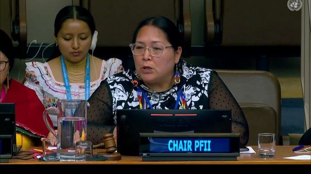 Председатель Форума по вопросам коренных народов недовольна тоном Гули.