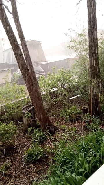 Апрельский дождь