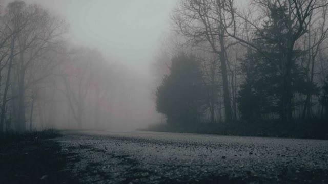 Дикая. Опасное путешествие как способ обрести себя. Стрэйд Шерил.