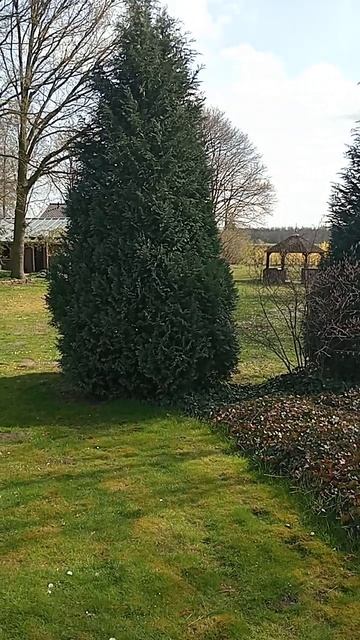 Тропарь греческий святому архангелу Михаилу