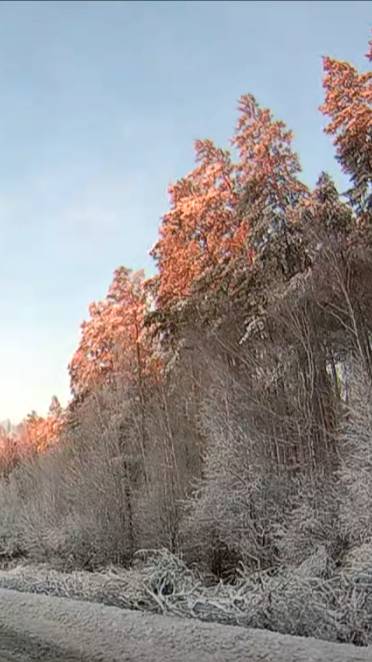 Сказочный зимний лес в конце апреля!