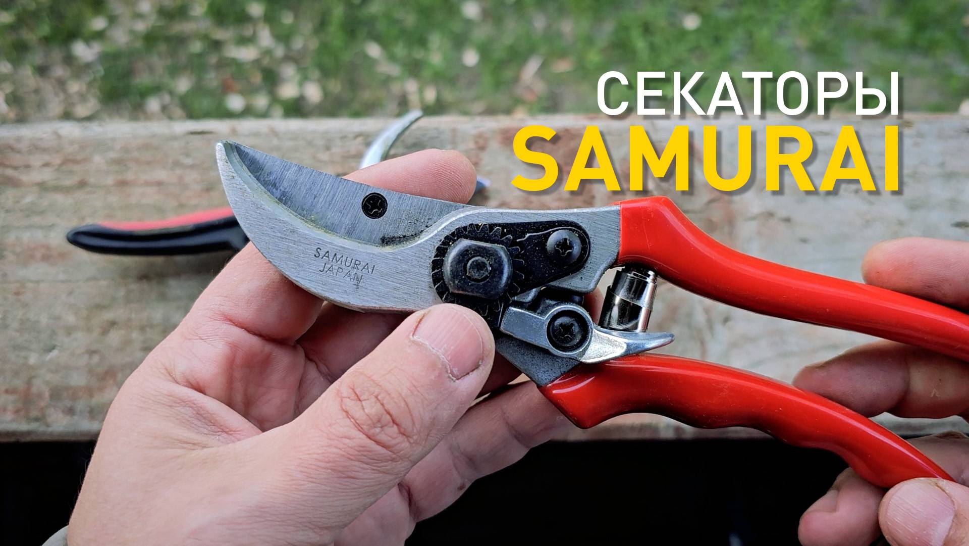 Что купил? Секатор Samurai KS-4.