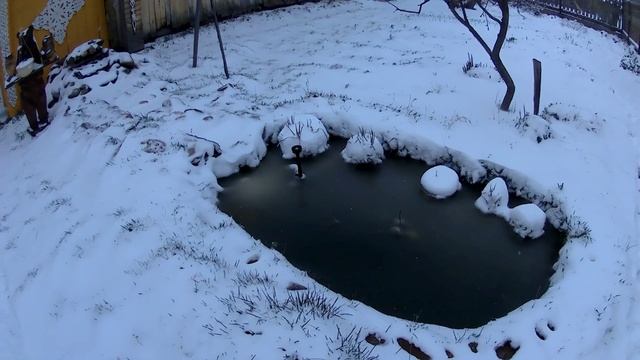 Мартовская метель в апреле месяце - акман тукман
