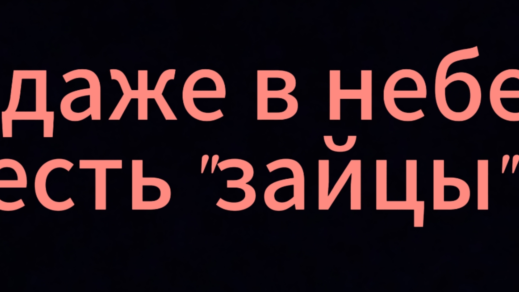 Смешное видео с уткой 🦆
