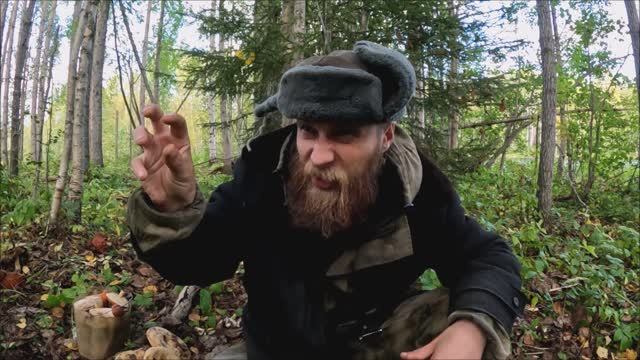 Там, где растут мухоморы