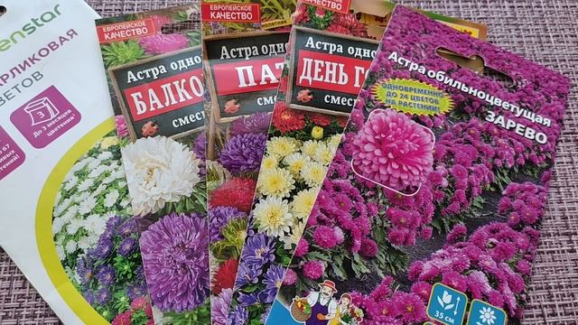 Подборка низкорослых сортов астр