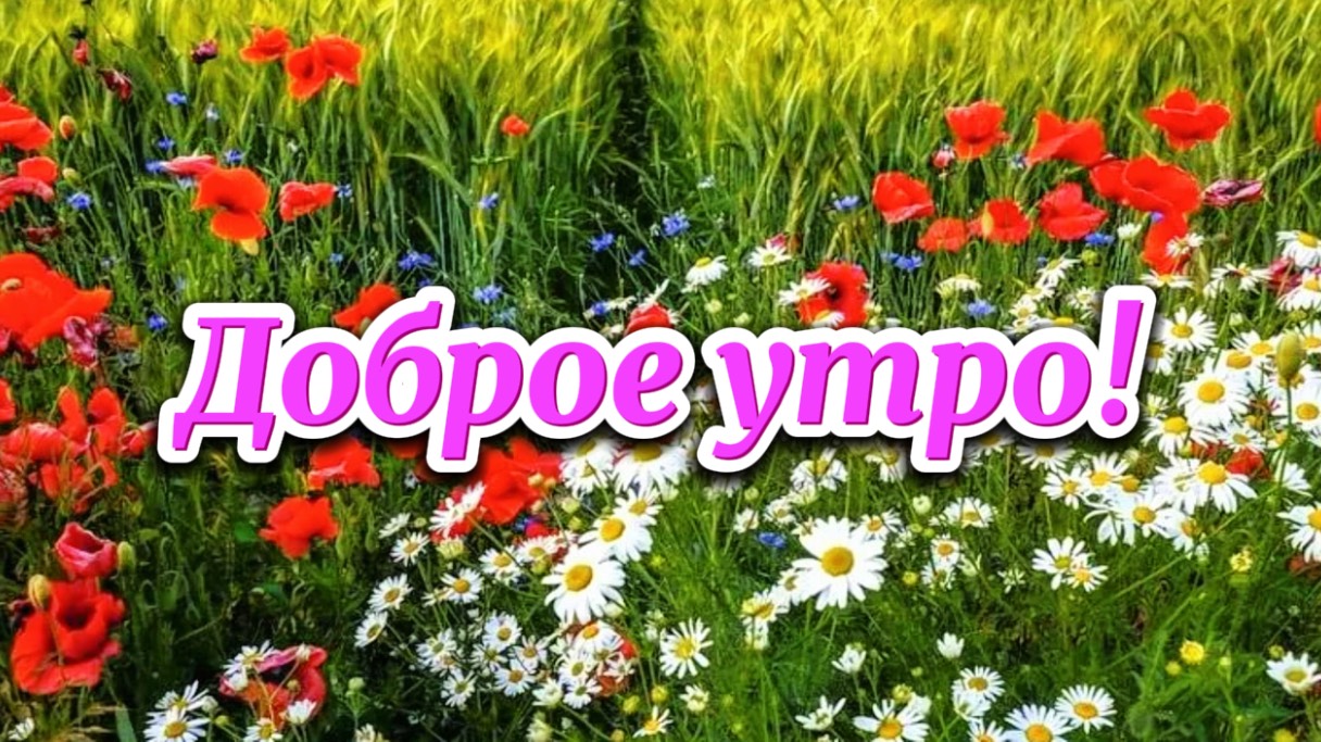 Доброе утро. Проснувшись погружаюсь в новый день