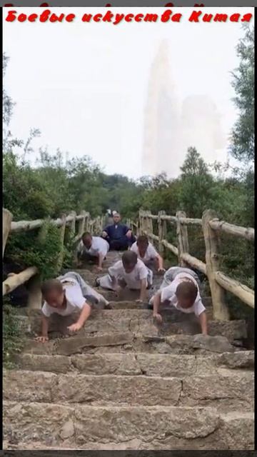 Храм Суншань Шаолинь пропагандирует традиционную китайскую культуру и наследует шаолиньское кунг-фу