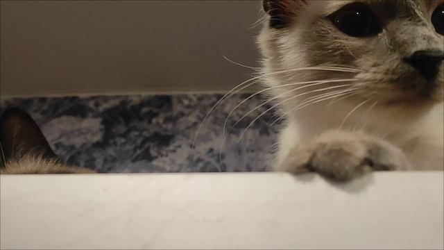 Папа с дочкой отдыхают