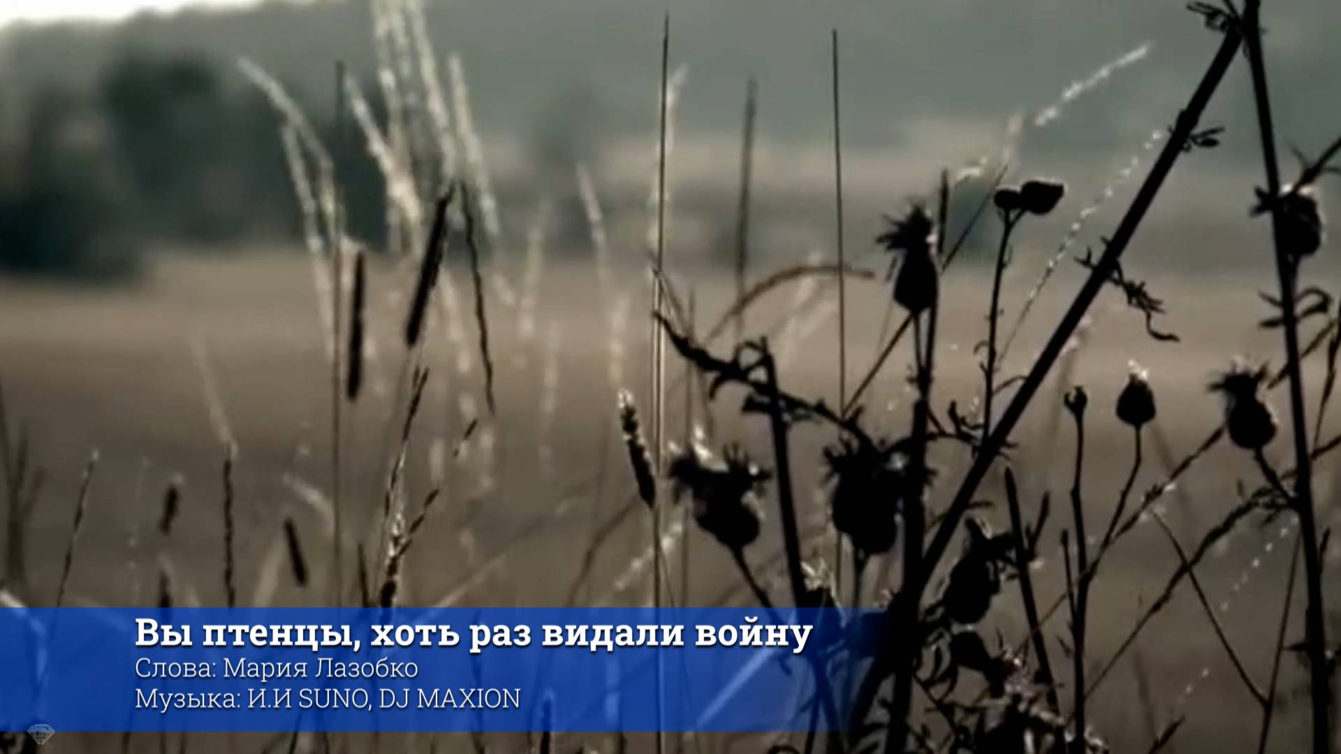 Вы птенцы, хоть раз видали  войну.