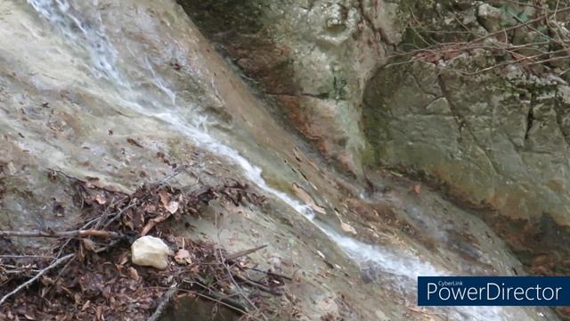 Апрельская песня Большого Куртлера