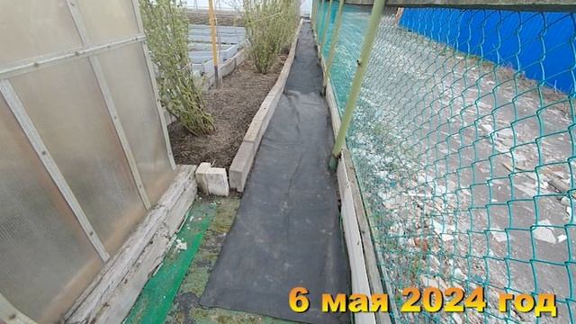7 соток. Привезла 20 кубов отсева и разнесла по огороду за 3 дня. Хроника Май 2024 год.1 часть