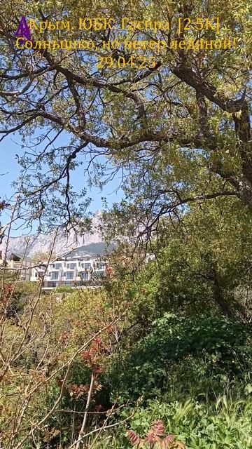 Крым. ЮБК. Гаспра. Солнышко, но ветер ледяной! 29.04.25 #андрейкрымский #артемийкрым #андрейлилия