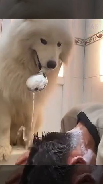 Тёпленькая пошла