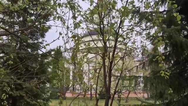 "Посажу яблоньку" В. Волков