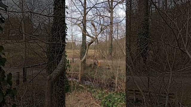 Тропарь греческий святому пророку Моисею