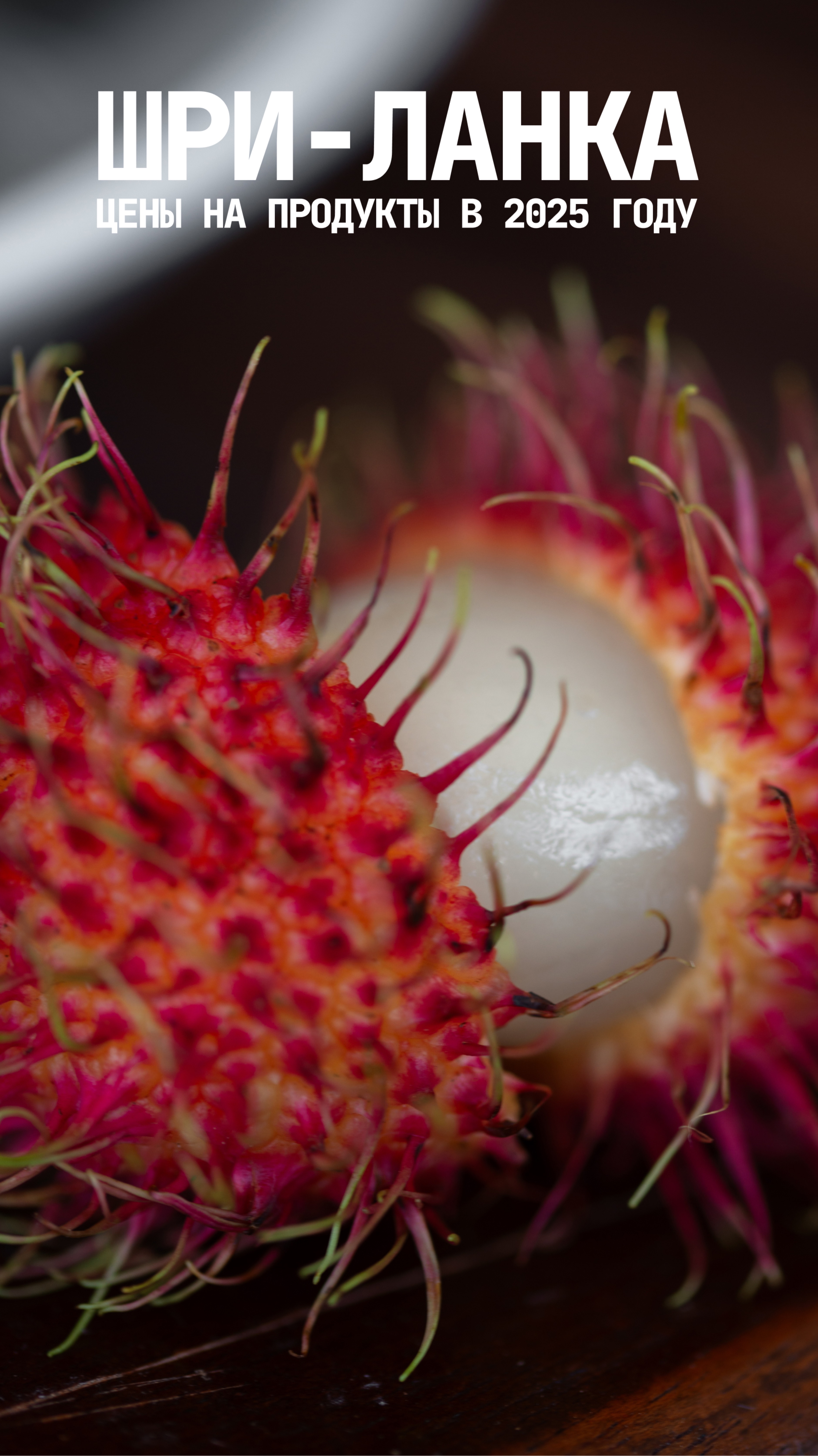 Цены в Хиккадуве, Шри -Ланка 2025 год