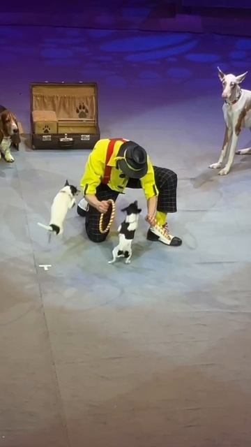 20 мая в Театре "Без Вывески"