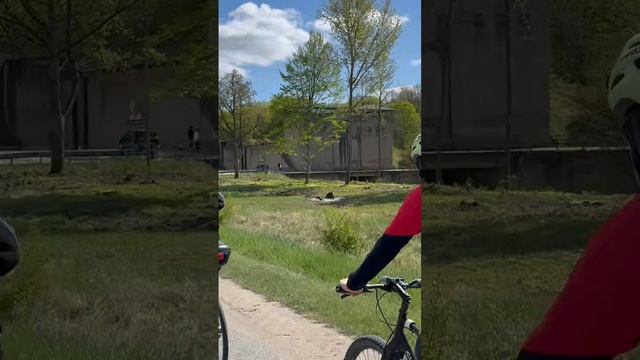 Поездка с КБТ