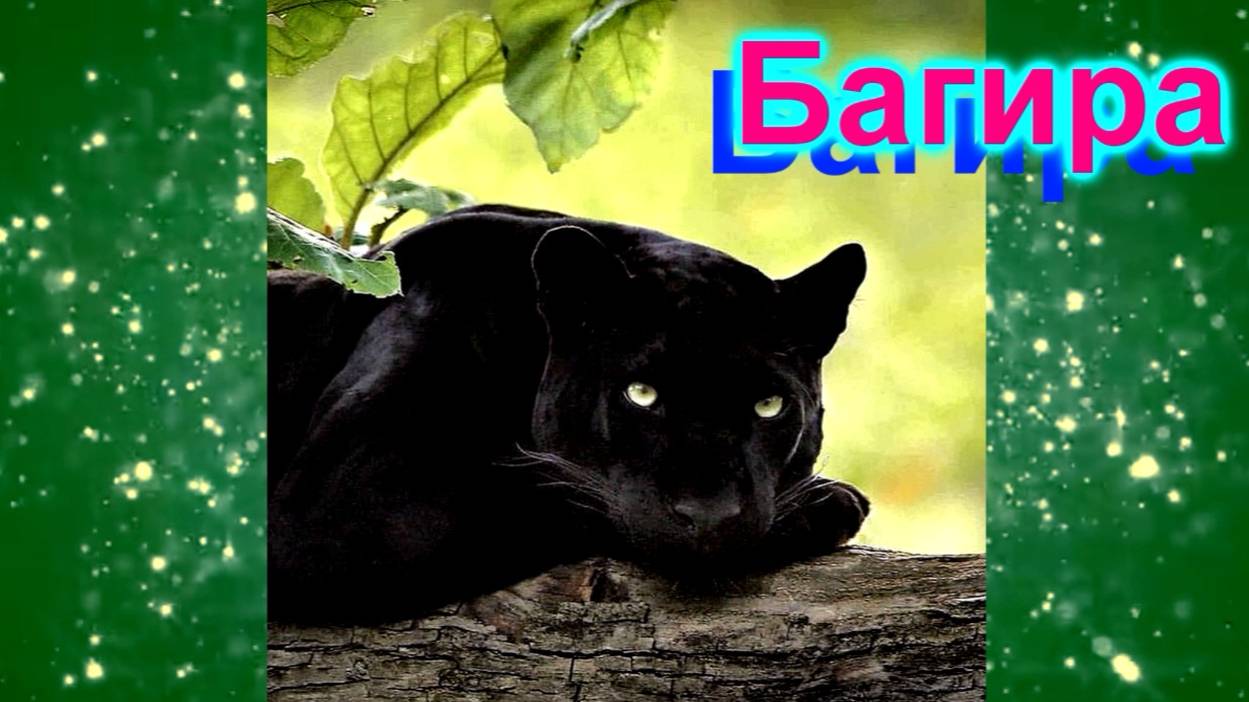 Багира (стихи Ariadna***) странно, что про таких кошек удивительных так мало стихов и песен.