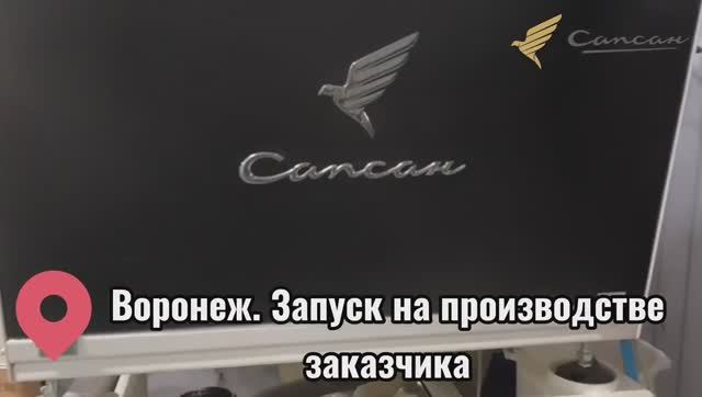 Сортировка зеленого кофе на колорсортере Сапсан SE1