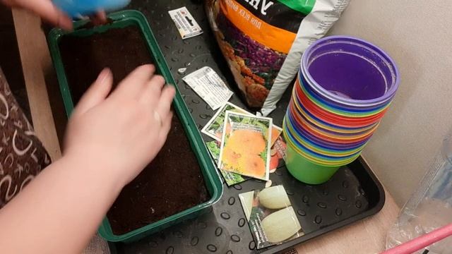 ПОСЕЯЛА КАБАЧКИ И ТЫКВУ// СЕМЕНА