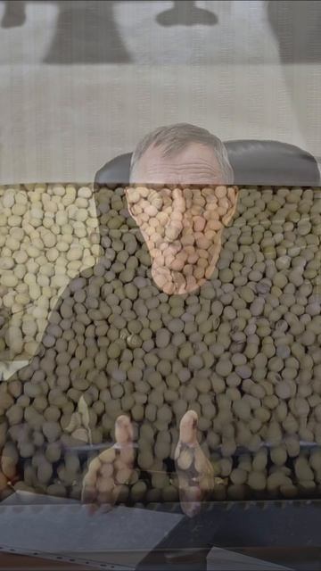 Семеноводство на Алтае 🌾
Коротко — в ролике, подробнее — на странице!