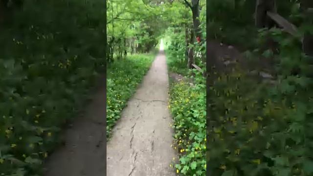 ПРАВИЛА ЖИЗНИ. НЕ УСТРАИВАЕТ ЖИЗНЬ - ПОМЕНЯЙ ПРАВИЛА
