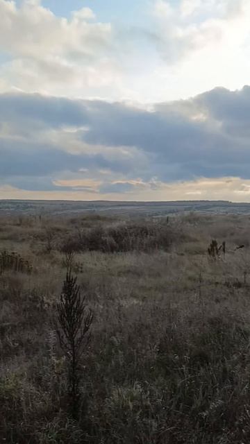 Будни металлокопа